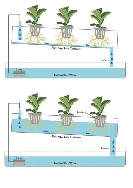 Explainer: Hydroponics- A Bridge To Productive Architecture - Digpu News