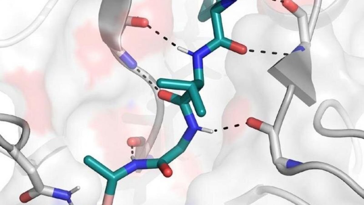 Scientists Discover New Drug Compound For Malaria Treatment - India ...