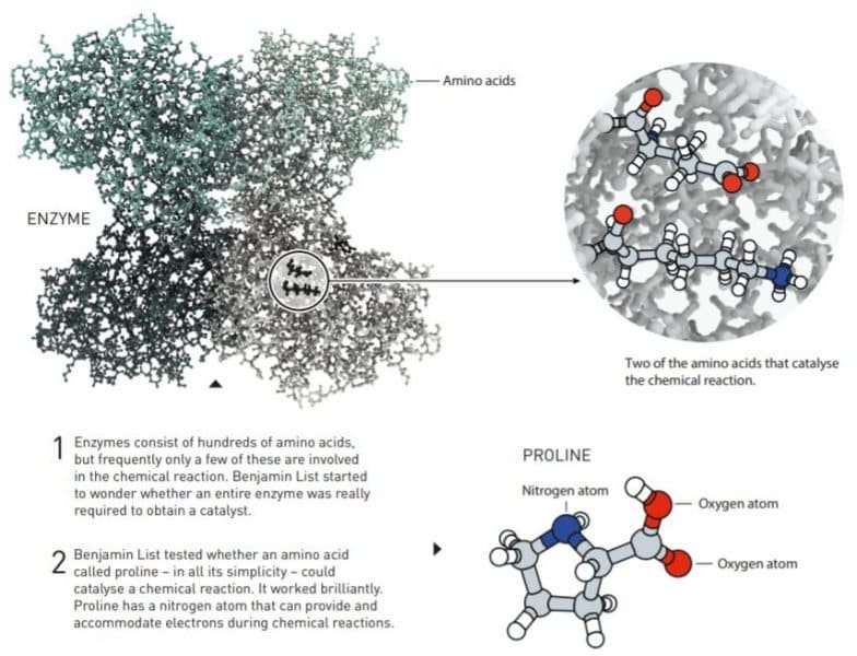 Nobel Prize 2021 For Chemistry Goes To Scientists Benjamin List And ...