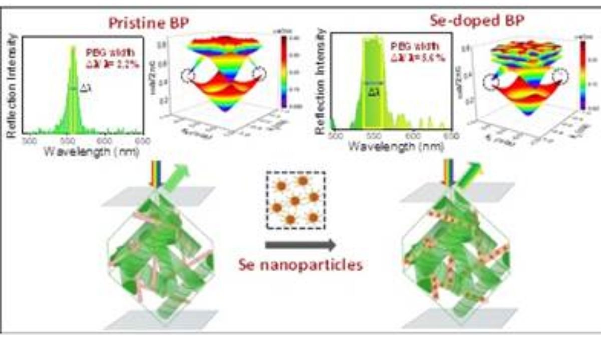 A Simple And Elegant Pathway To Attain A Soft Tunable 3d Photonic